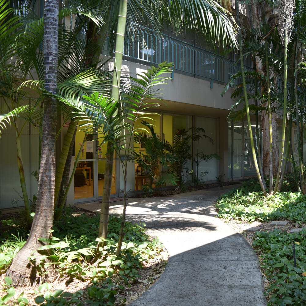 Our Practice – Moon Physical Therapy